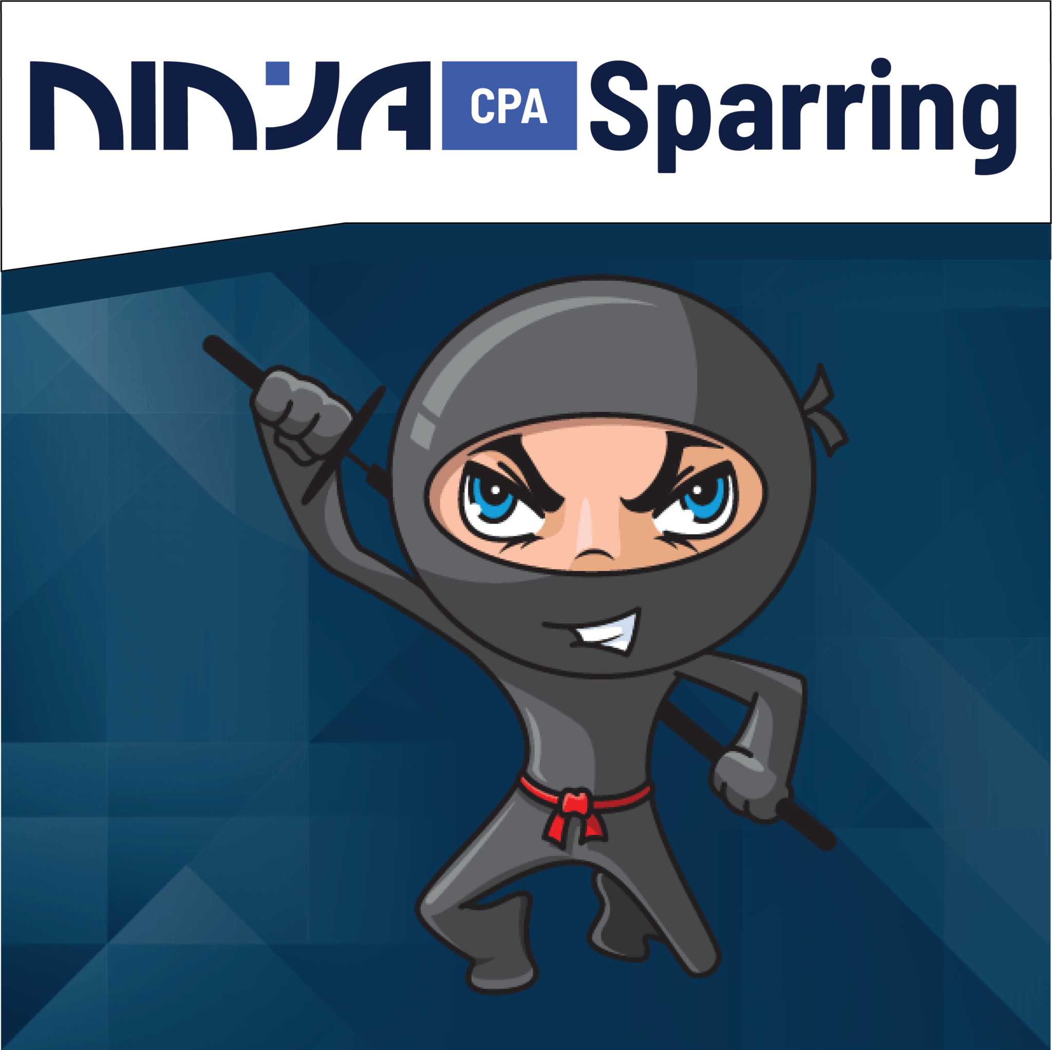 Becker CPA Review | May 2024 Discount | NINJA CPA Review