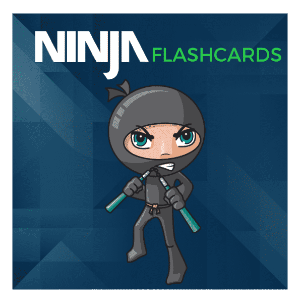 NINJA CPA Flashcards | NINJA CPA Review